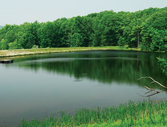 J. Warren Cutler Scout Reservation, Seneca Waterways Council Scouting ...
